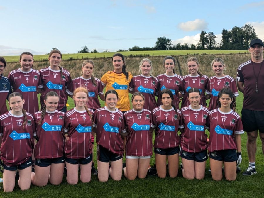 Elite Electronic Systems Ltd